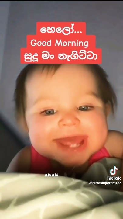 හෙලො ශුඩු මහත්තයා ගුම් මොනිම්🤭🤭 🌻 පට්ට අතල් Youtube