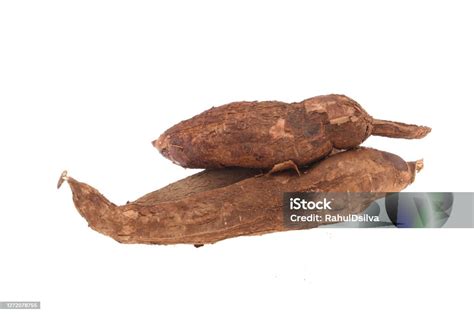 흰 배경에 고립 된 신선한 타피오카 뿌리 또는 카사바 뿌리 0명에 대한 스톡 사진 및 기타 이미지 0명 갈색 긴 Istock