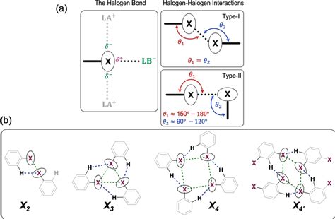 A Schematic Showing The Halogen Bond And Halogenhalogen Download Scientific Diagram