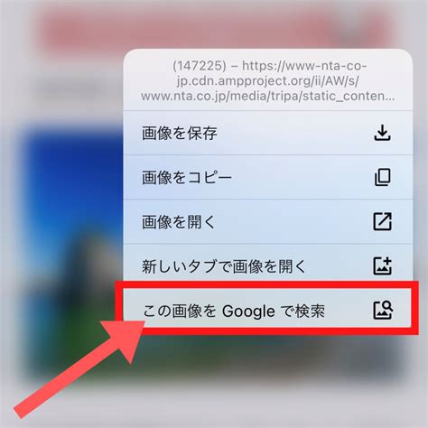 画像検索を使いこなす GOOGLE 検索 ヘルプ