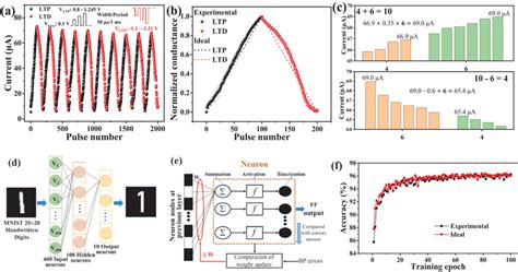 a repeated ltp and ltd response by applying stepped pulse b