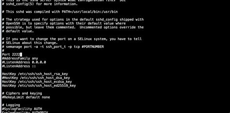 Linux Sunucuda Vps Vds Ve Dedicated Ssh Port Değiştirme Cenuta Blog