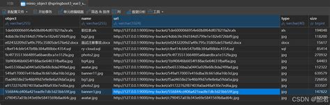 springboot 3 项目集成 minio springboot3 minio csdn博客