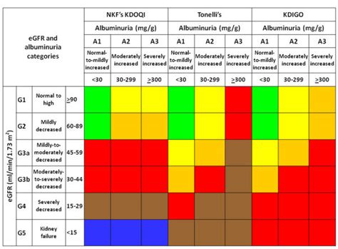 Nfks Kdoqi Akdn Risk Category And Kdigo Ckd Classification Systems