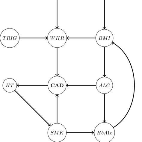 Causal Directed Graph Between Traits Linked To Cardiovascular Disease Download Scientific