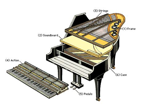 How A Grand Piano Works Construction Function Parts