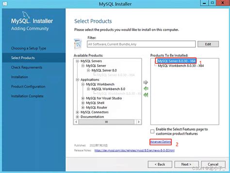 3 1 mysql8 0 redis windows iis部署 iis连接redis csdn博客