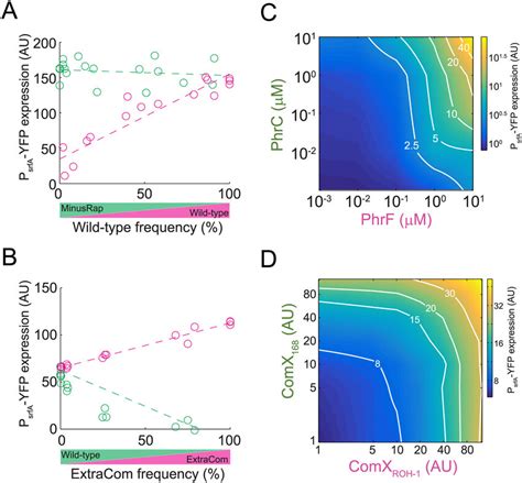 Experimental Validation Of Predicted Investment In Cooperative Behavior Download Scientific