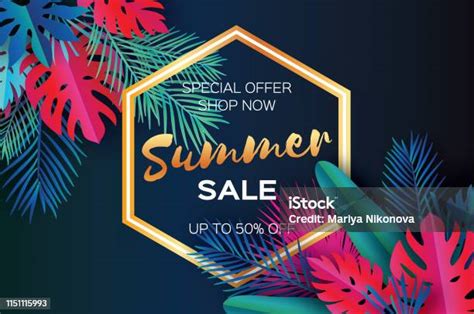 최신 유행 여름 판매 템플릿 배너입니다 종이 아트 열 대 야자수 잎 식물 이국적인 하와이 텍스트에 대 한 공간입니다 육각형 프레임입니다 화려한 정글 꽃 배경입니다 몬스 테라