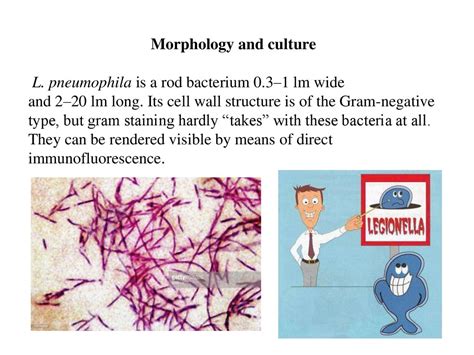Enterobacteriaceae Online Presentation