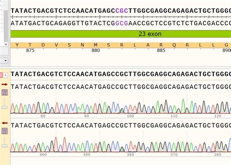 164 Questions With Answers In Point Mutation Science Topic