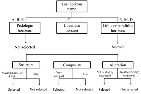 Representation Of The Classification Tree Applied To The Dataset For