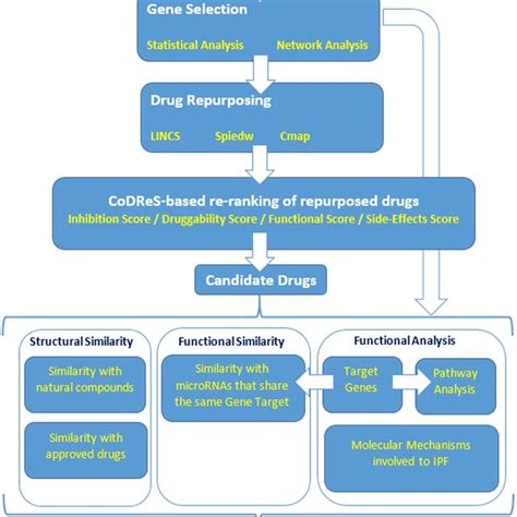 Layout Of The Complete Pipeline Download Scientific Diagram