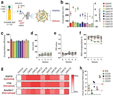 A Combinatorial Library Of Lipid Nanoparticles For Cell TypeSpecific MRNA Delivery Naidu