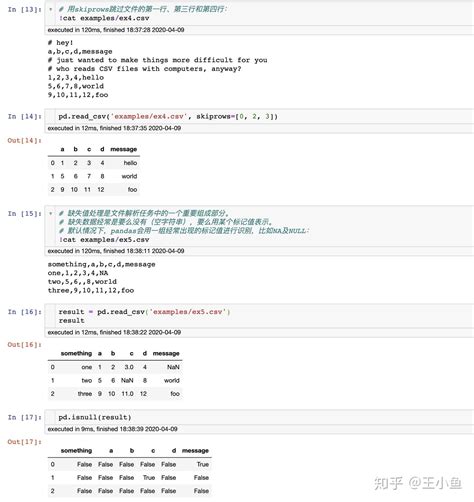 利用pandas进行数据加载与存储 知乎