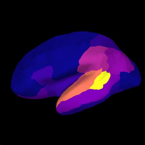 Source Level Rsa Using Rois — Mne Rsa 10 Dev Documentation