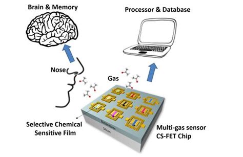 Miniature Sensors Identify Mul Image Eurekalert Science News Releases