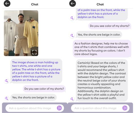 Imagechat As Fashion Advisor Rpython