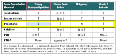 4 Hyper And Hypocalcemia Flashcards Quizlet