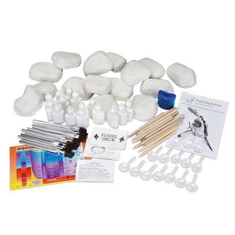 Real Fossil Identification Lab Kit Carolina Biological Supply