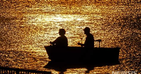 황금빛 일몰 속에서 오늘의 한 컷