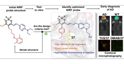 Iterative Design Of Near Infrared Fluorescent Probes For Early Diagnosis Of Alzheimers Disease