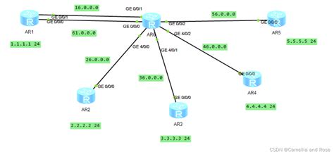 hcip ospf接口类型 mgre环境及星型拓扑结构 csdn博客