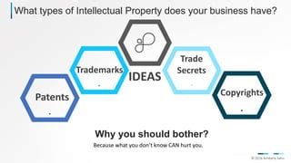 IP Protection Strategies PPT