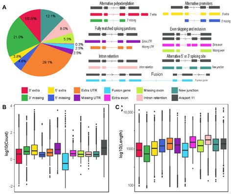 Trackcluster Identified Transcript Isoforms And The Distributions Of Download Scientific