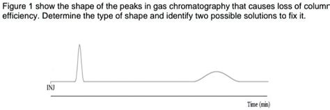 Solved Figure 1 Show The Shape Of The Peaks In Gas Chromatography That Causes Loss Of Column