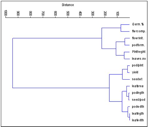 Dendrogram Based On Average Linkage Distance For Traits Download Scientific Diagram