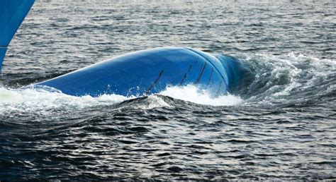 The Bulbous Bow An Innovation Beneath The Surface Orbitshub