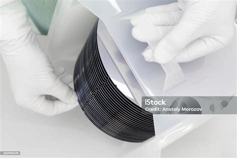 집적 회로 제조를 위해 전자 제품에 사용되는 플라스틱 홀더 상자에 실리콘 웨이퍼를 들고 있는 장갑을 낀 손 실리콘 웨이퍼 검사