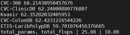 Could U Give Fps Or Flops About Polyp Pvt I Test This Backbone Its So Slow Issue