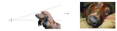 What Is Perspective Correcting Perspective Distortions