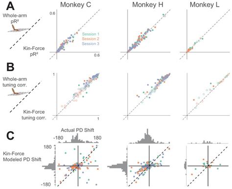 Area 2 Of Primary Somatosensory Cortex Encodes Kinematics Of The Whole Arm Elife