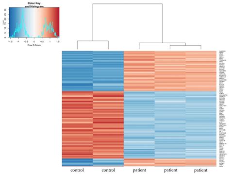 Heatmap Of The Most Variable Genes Across All Samples Hierarchical Download Scientific Diagram