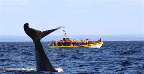 Canada Summer Bucket List 25 Adventures Worth The Drive