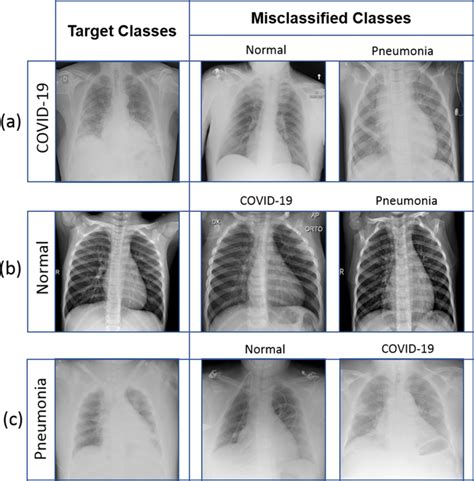 The First Column Represents The Target Class And Misclassified Samples Download Scientific