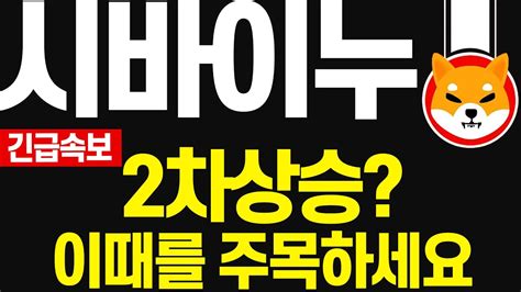 시바이누 더 큰 상승이 남아있습니다 Youtube