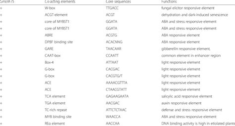 Analysis Of Putative Cis Acting Elements In The Gmerf75 Promoter