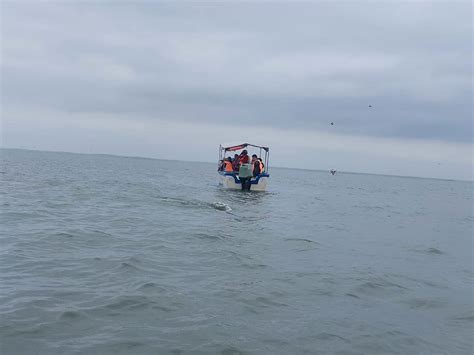 Los Delfines Son El Atractivo De Puerto El Morro Que También Provoca