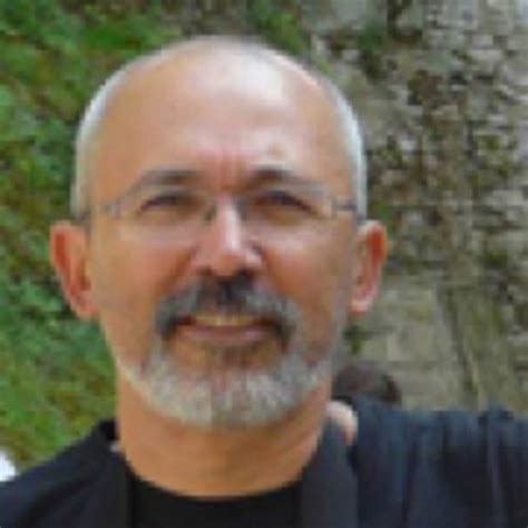 Daniel Scradeanu Head Of Department Doctoral School Of Geology Phd University Of