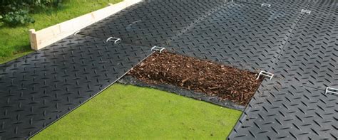 Tree Root Guard At Lilian Dixson Blog