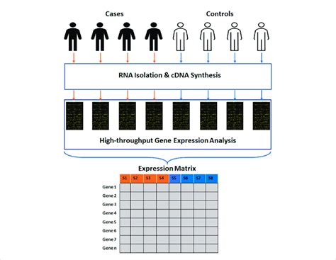 Process Of Generation Of High Throughput Gene Expression Data The