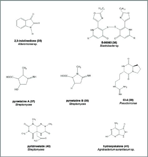 Enzyme Molecule Structure