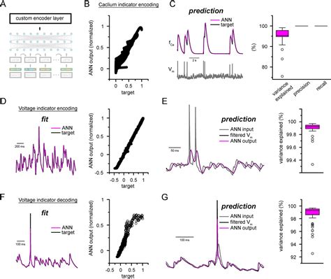 Figures And Data In Ultrafast Simulation Of Large Scale Neocortical Microcircuitry With
