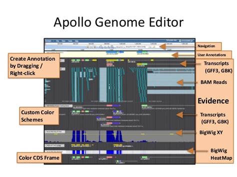 apollo improving collaborative genome curation