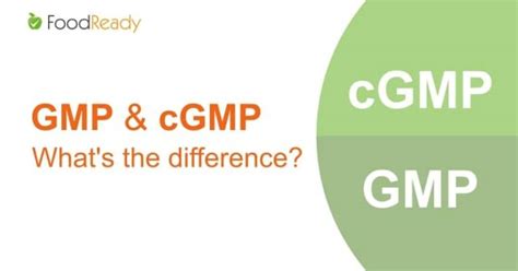 Cgmp Vs Gmp Whats The Difference