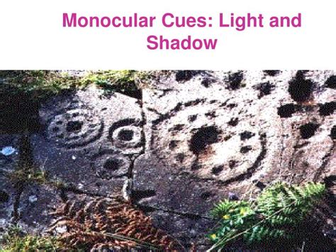 Motion Parallax Psychology Milobath